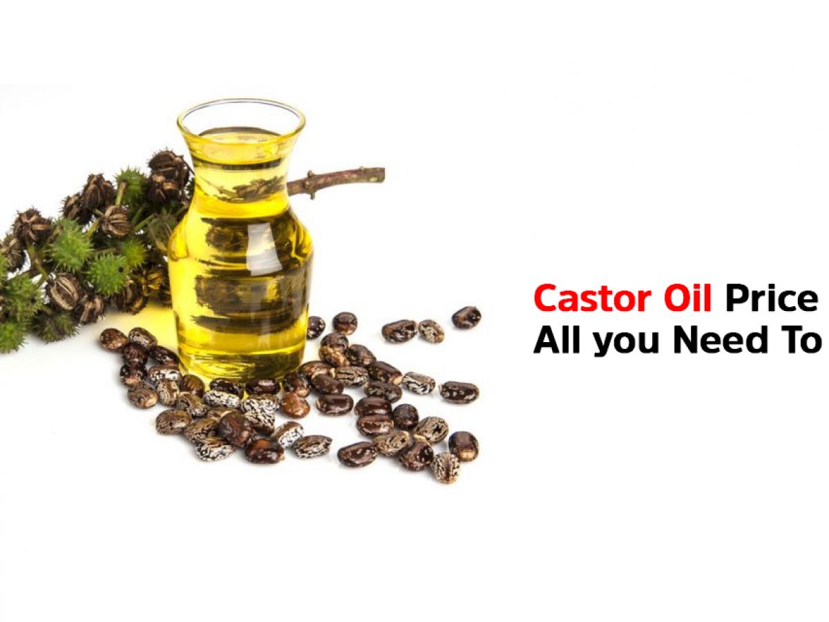 How Do You Get Castor Oil Out Of The Carpet | www.cintronbeveragegroup.com